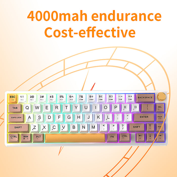 FEKER IK65 Mechanical Keyboard RGB 3 Mode Wireless